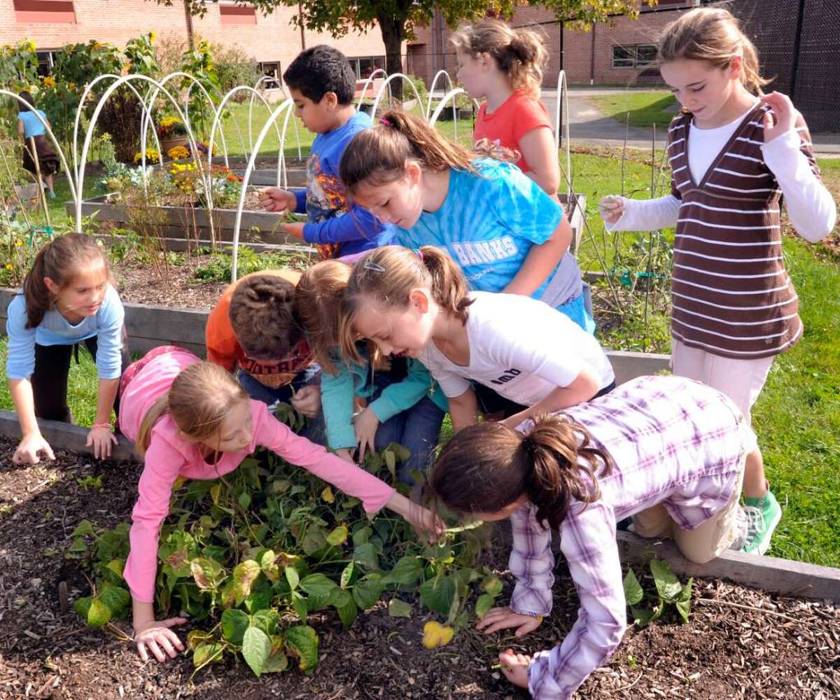 Garden benefits students and community