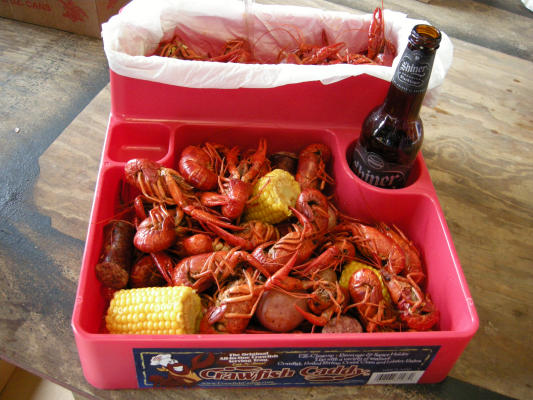 Put mudbugs in their place