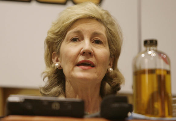 Hutchison on defensive over border fence