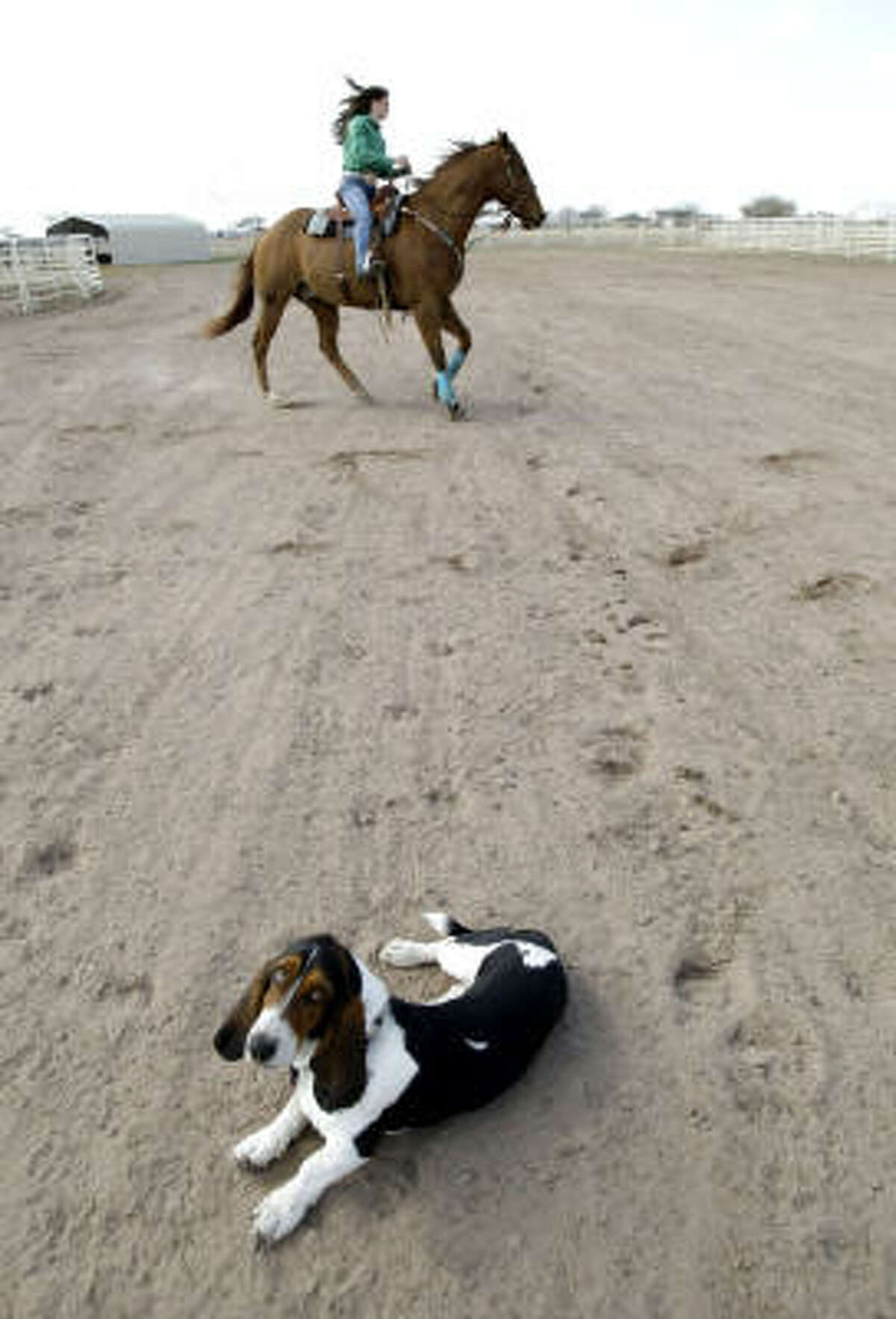 Barrel-racing champ had had eye on prize since childhood