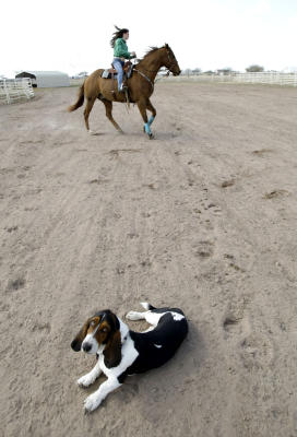 Barrel-racing champ had had eye on prize since childhood