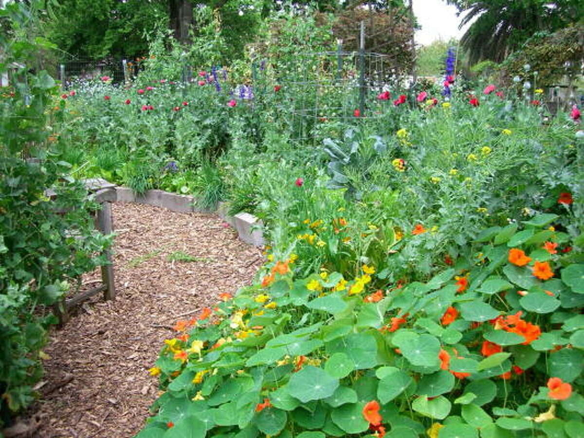 Meredith Gardens: A tale of determination