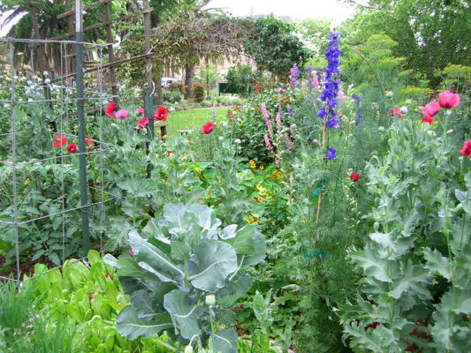 Meredith Gardens: A tale of determination