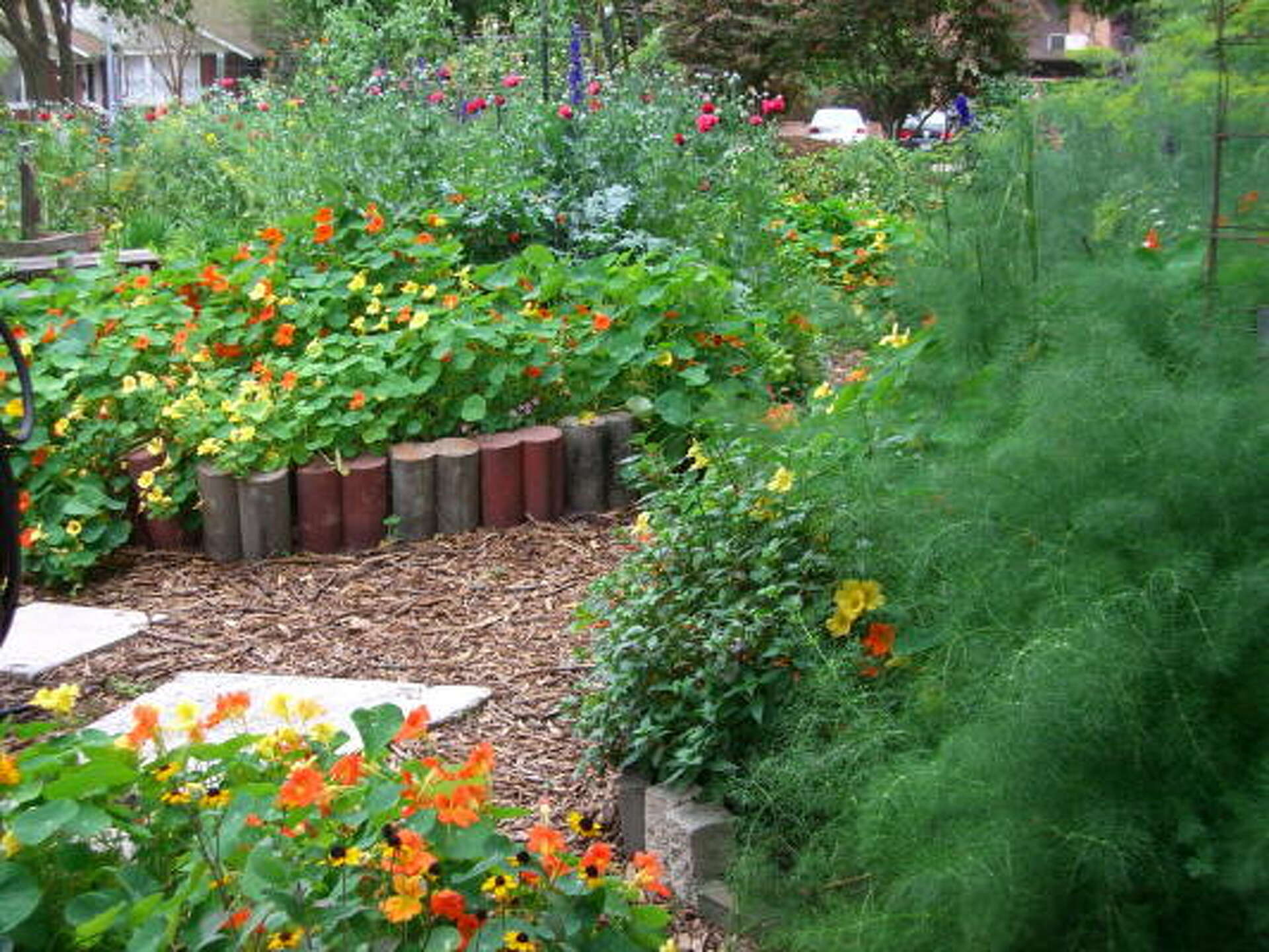 Meredith Gardens: A tale of determination