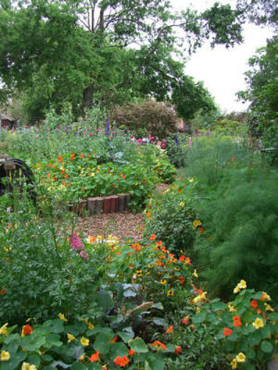 Meredith Gardens: A tale of determination