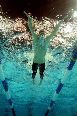 Phelps, Hoff share record night at Olympic swim trials