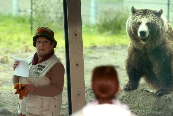 San Francisco Zoo attendance rises after tiger attack