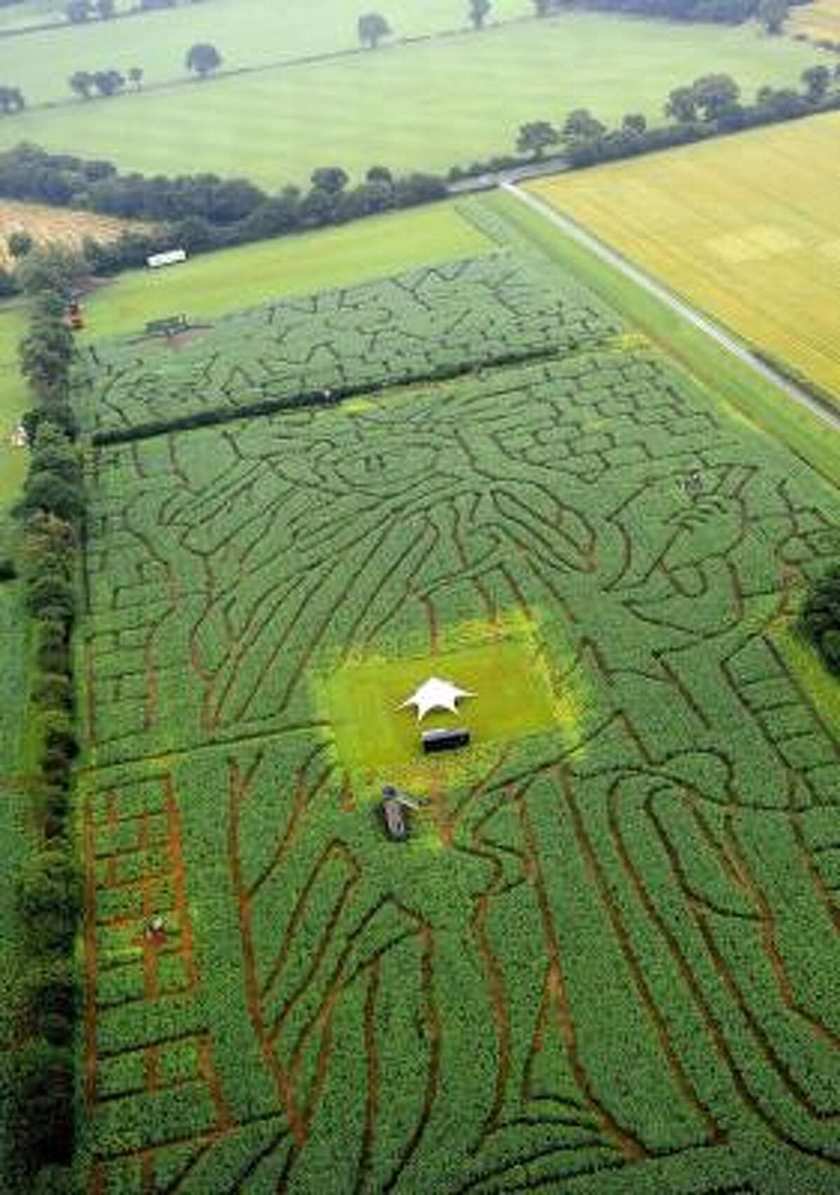 Get lost in a giant South Texas maze made of corn