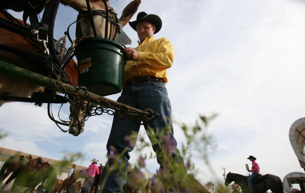 For some, rodeo trail ride is more than just a journey