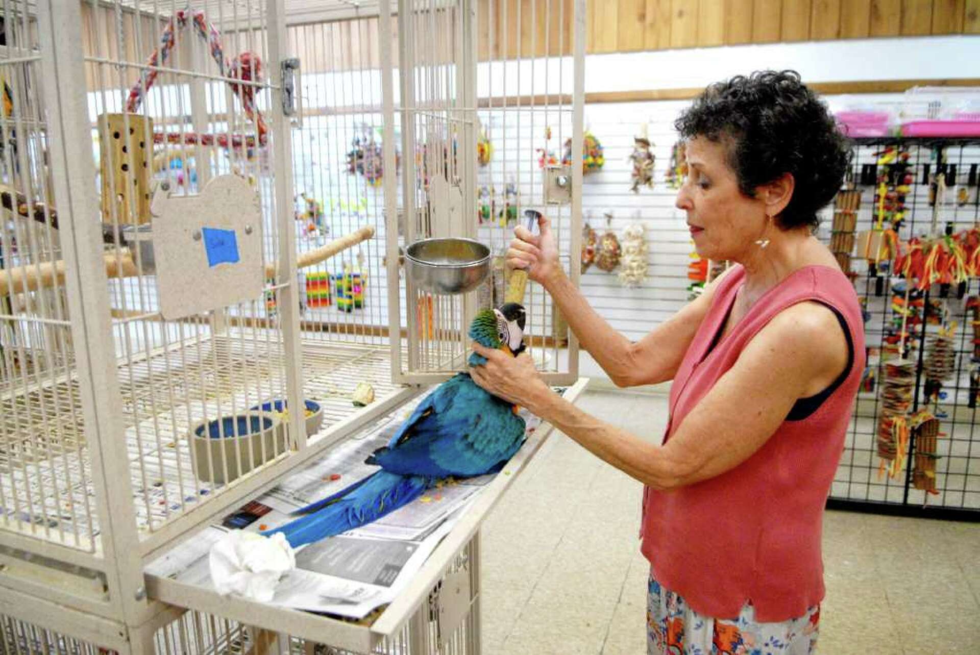The Dart: Parrot shop still flying high after 3 decades