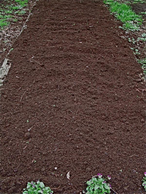 Science explained: Why organic matter is essential for soil