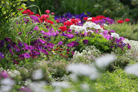 Kim Hooper Houston Garden Center | Fasci Garden