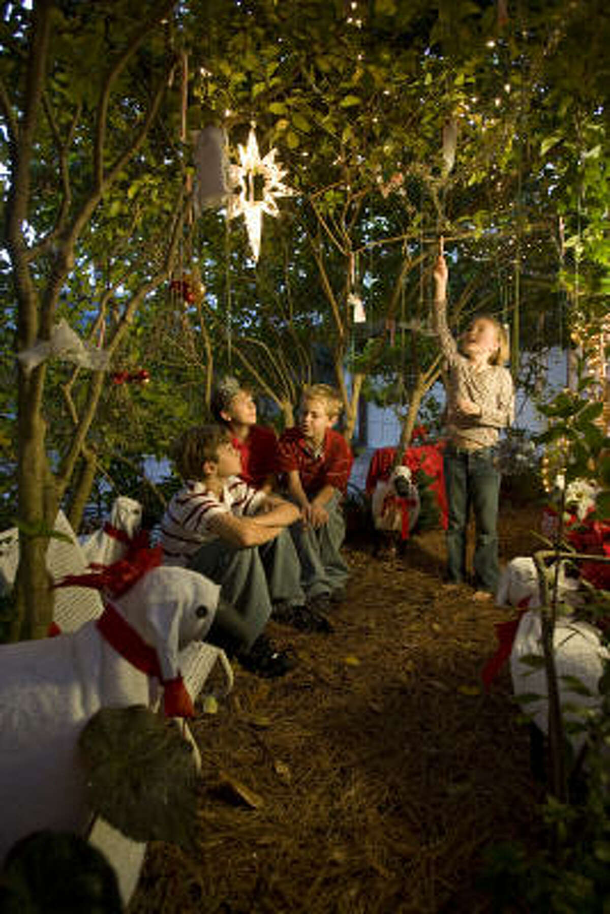 Hedge inspires grandma's secret garden