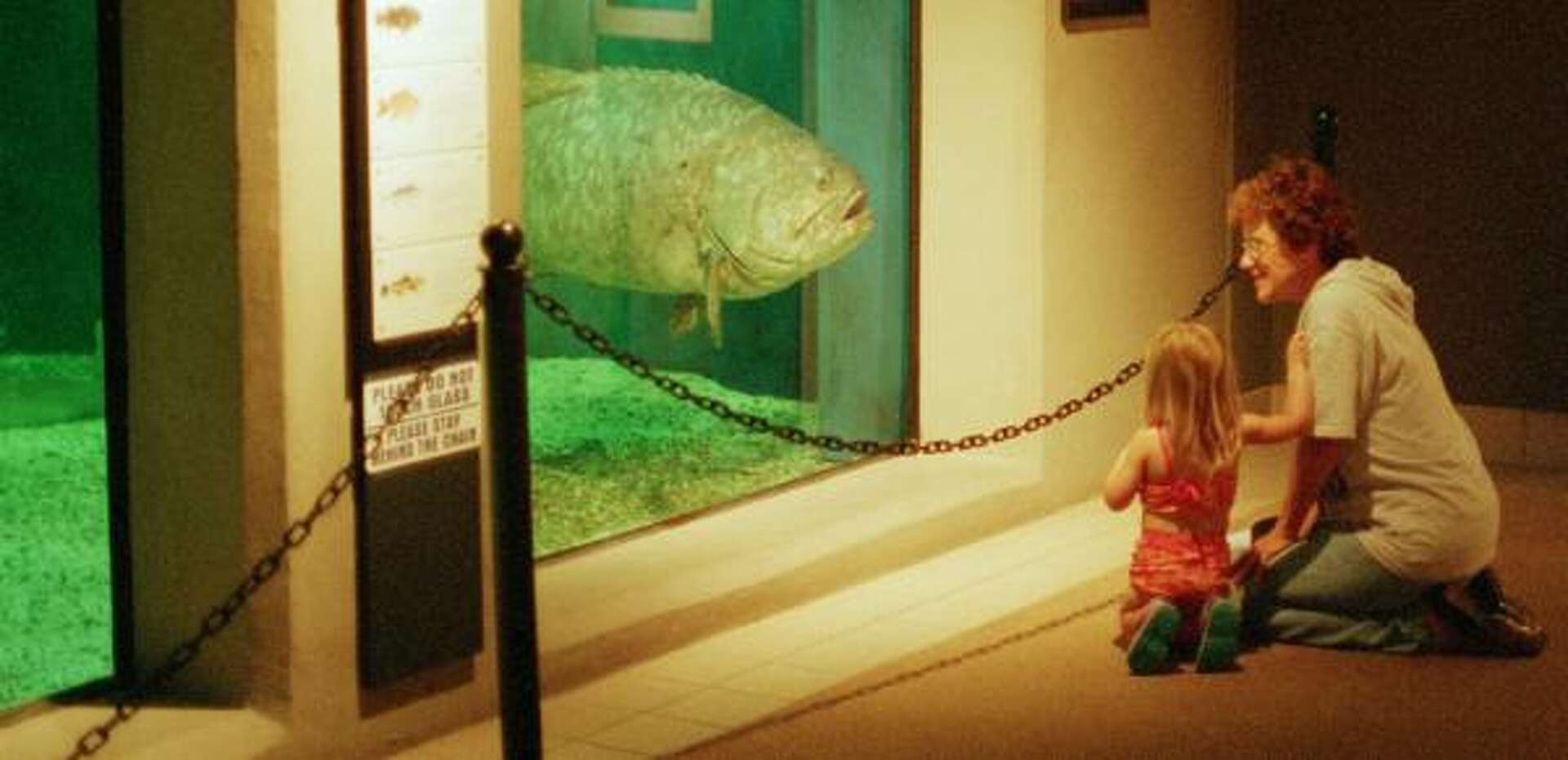 Houston-area spring breakers have another low-cost option: Fishing