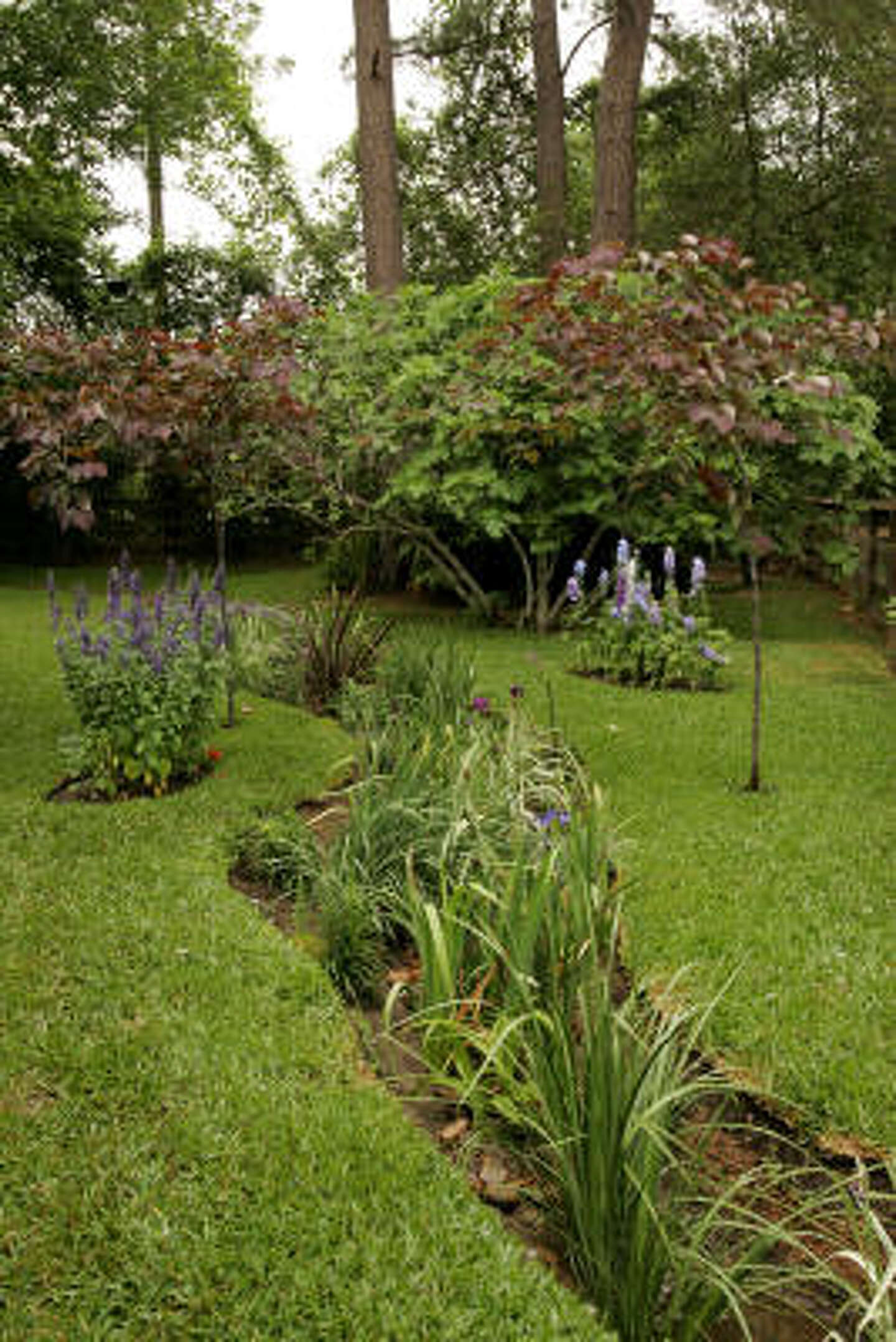 PROJECT: Building a swale for your garden