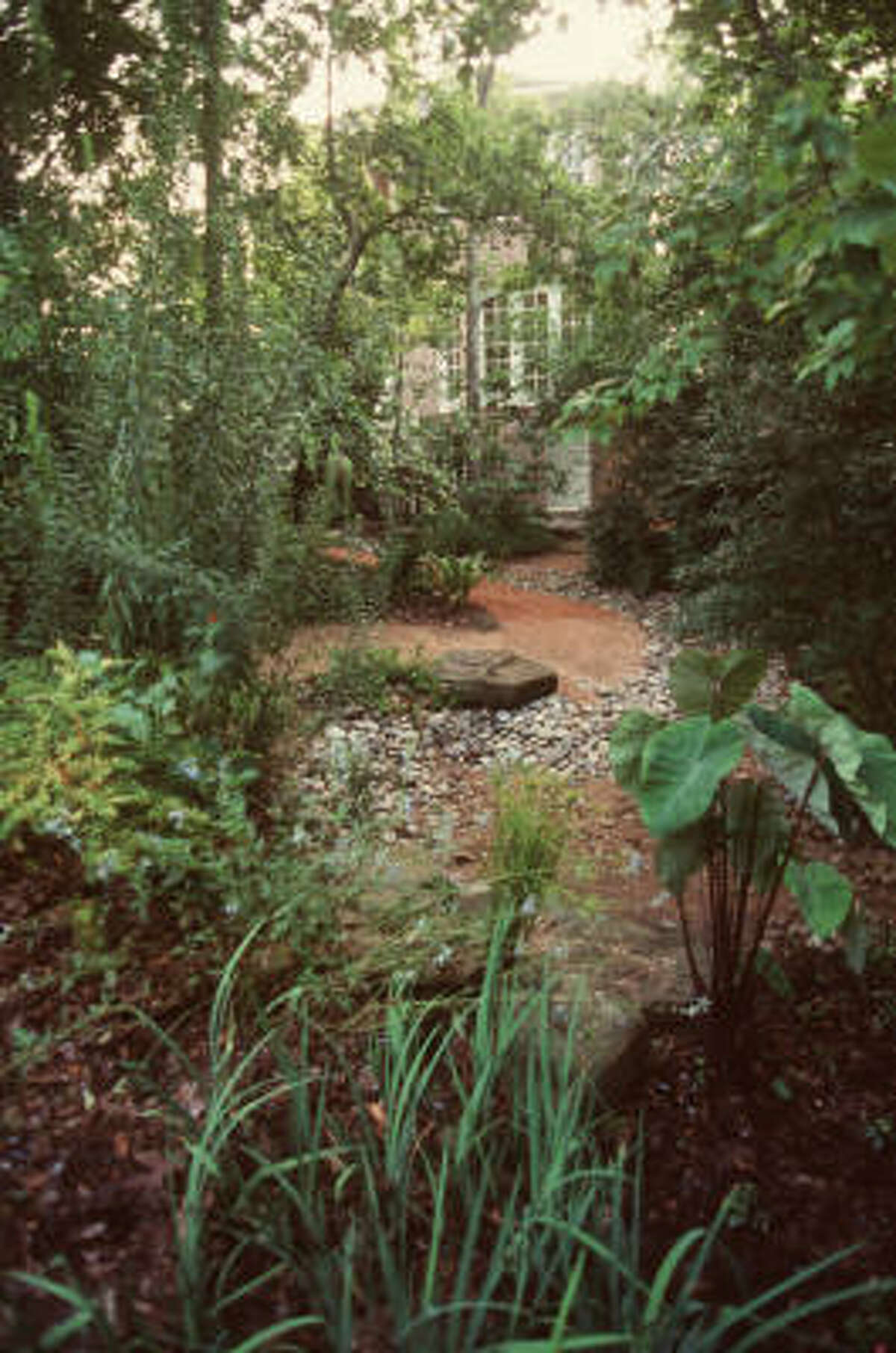 PROJECT: Building a swale for your garden