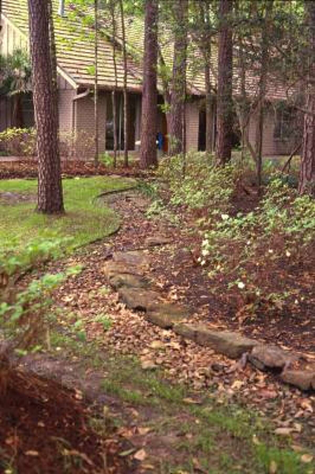 PROJECT: Building a swale for your garden