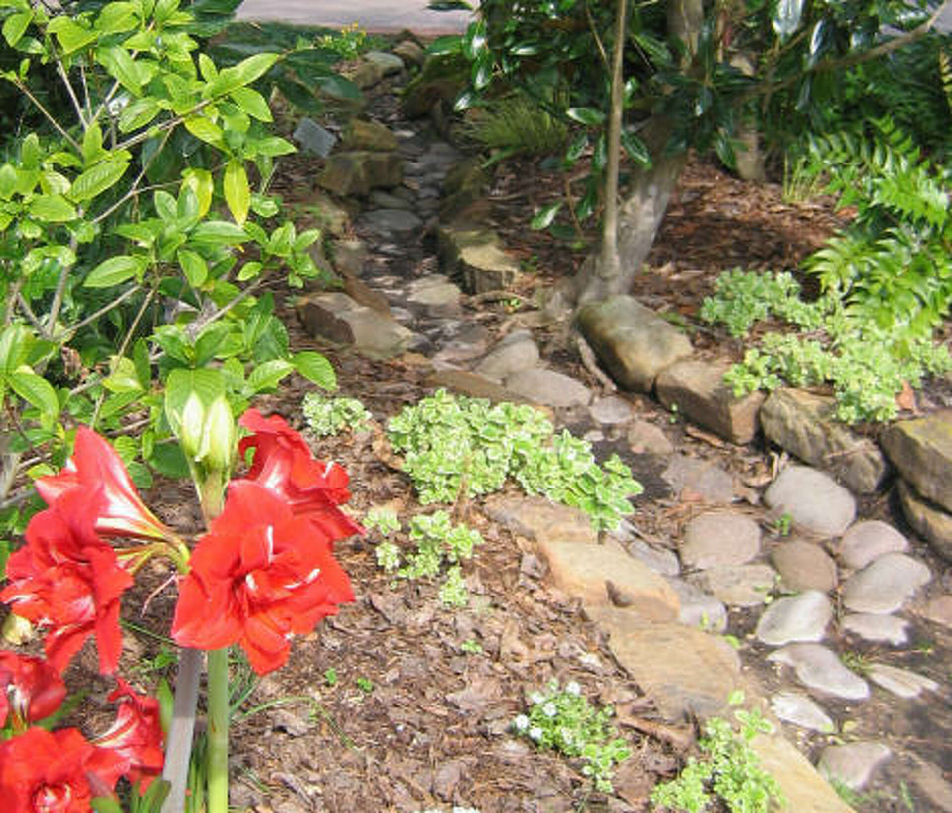 PROJECT: Building a swale for your garden