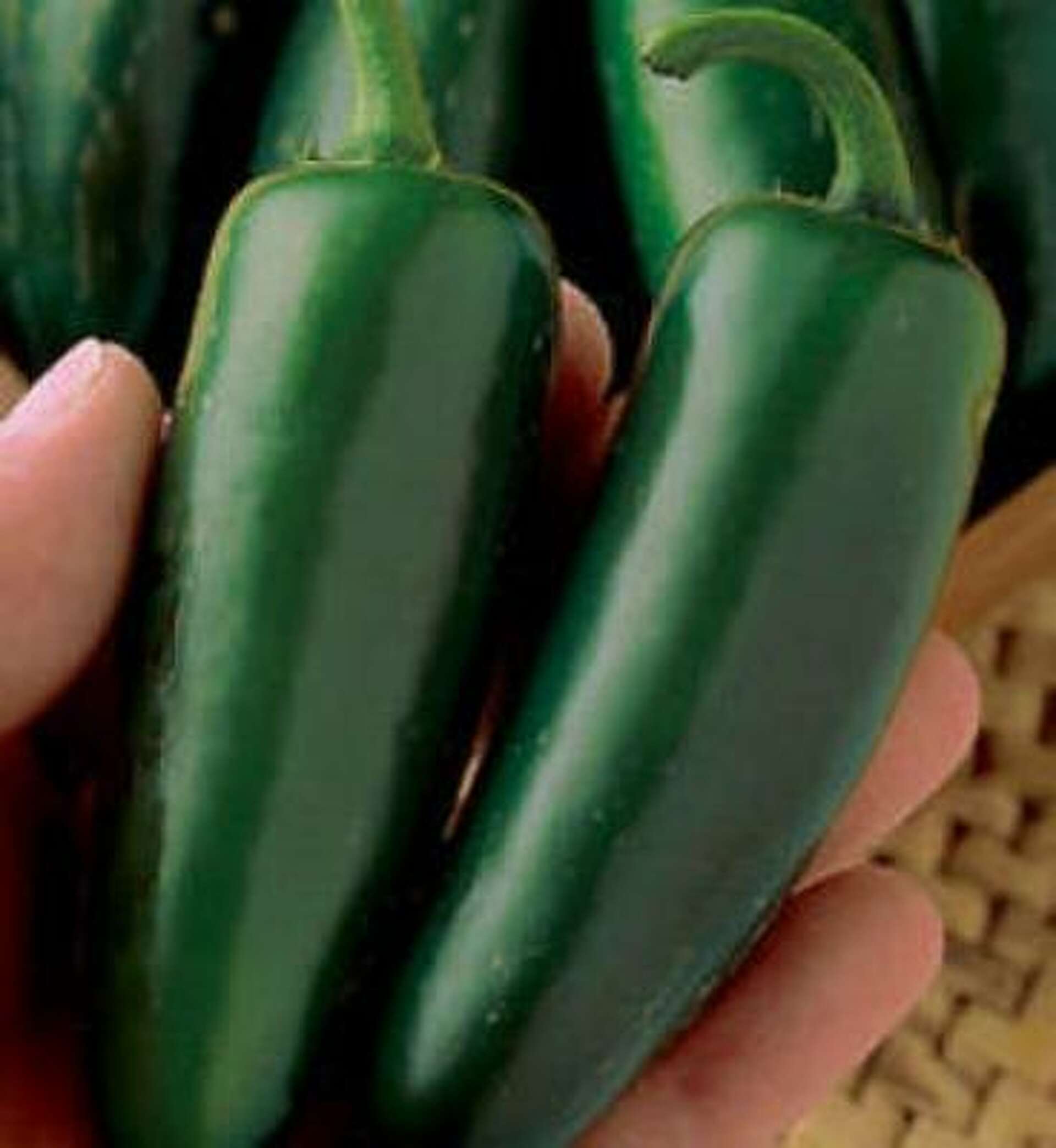 Pepper plants