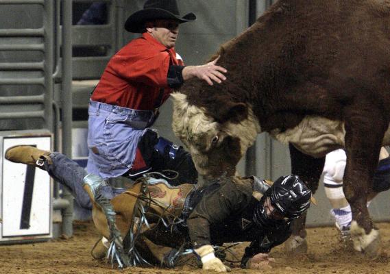 Cowboys hang up the hats in search of a safer ride