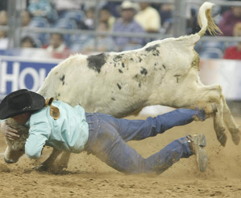 Sunday's rodeo scoreboard