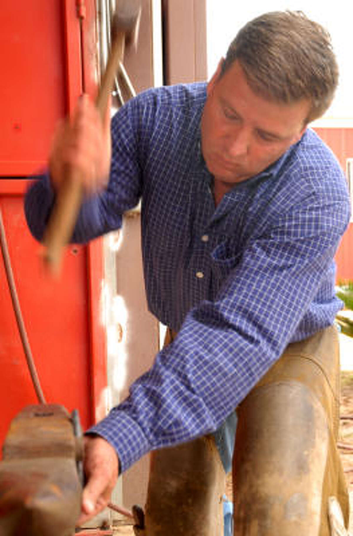 Faces in the crowd: Focusing on horse footwork (with photos)