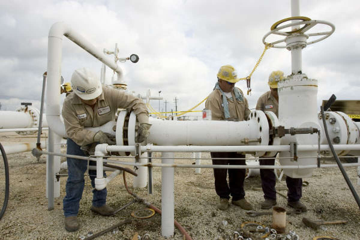 Targa is a youngster with a precocious streak