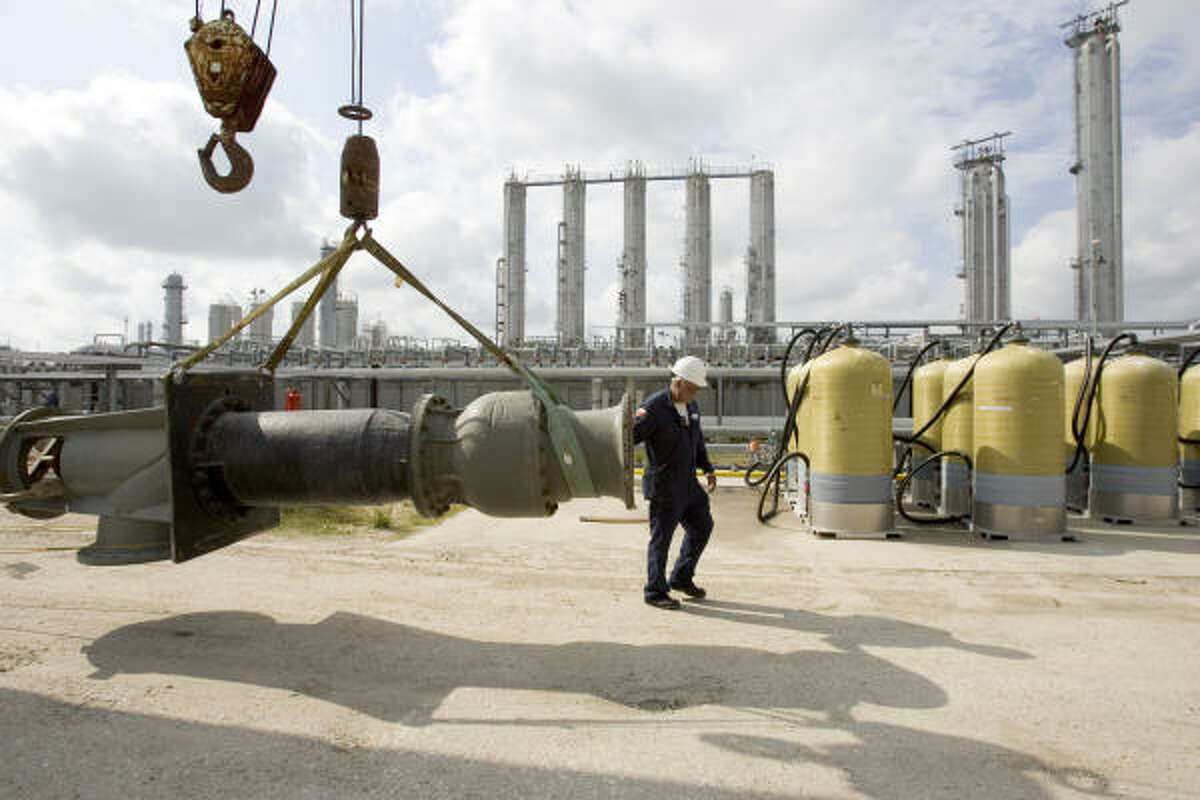 Targa is a youngster with a precocious streak