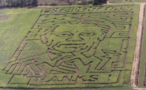 Cornfield maze tribute to Ford is all ears