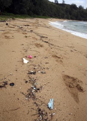 It turns out trash travels, too