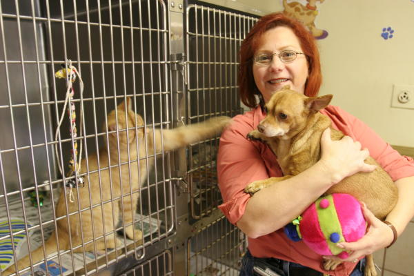 Special Pals shelter needs more staff, kennels
