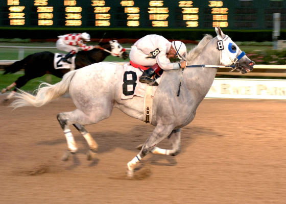 HORSE RACING NOTEBOOK: Puga impresses at Sam Houston
