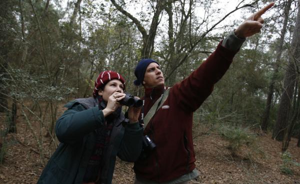 It's that time — to watch the birdie