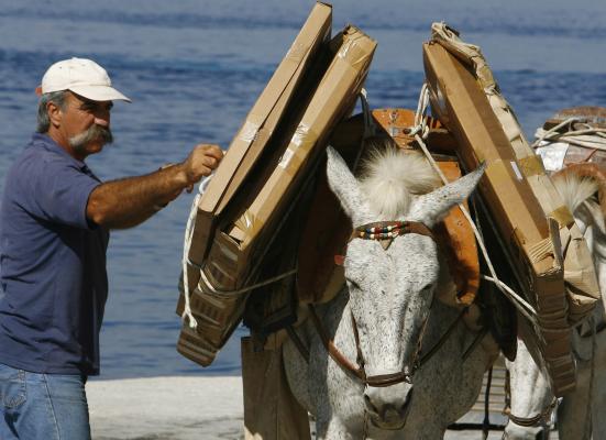 Greece's donkeys moving into history at a rapid pace
