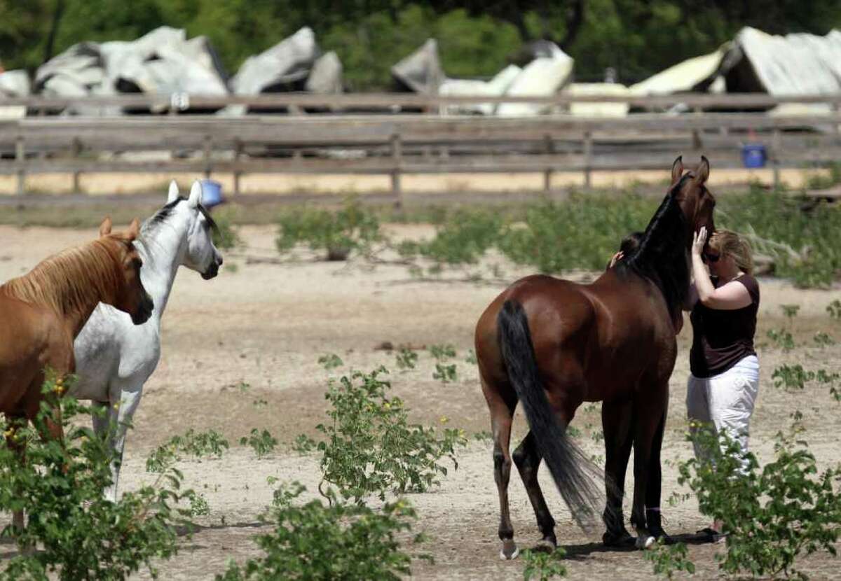 Thirteen horses perish in Magnolia barn fire