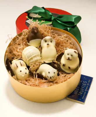 Sweet critters you just can't resist