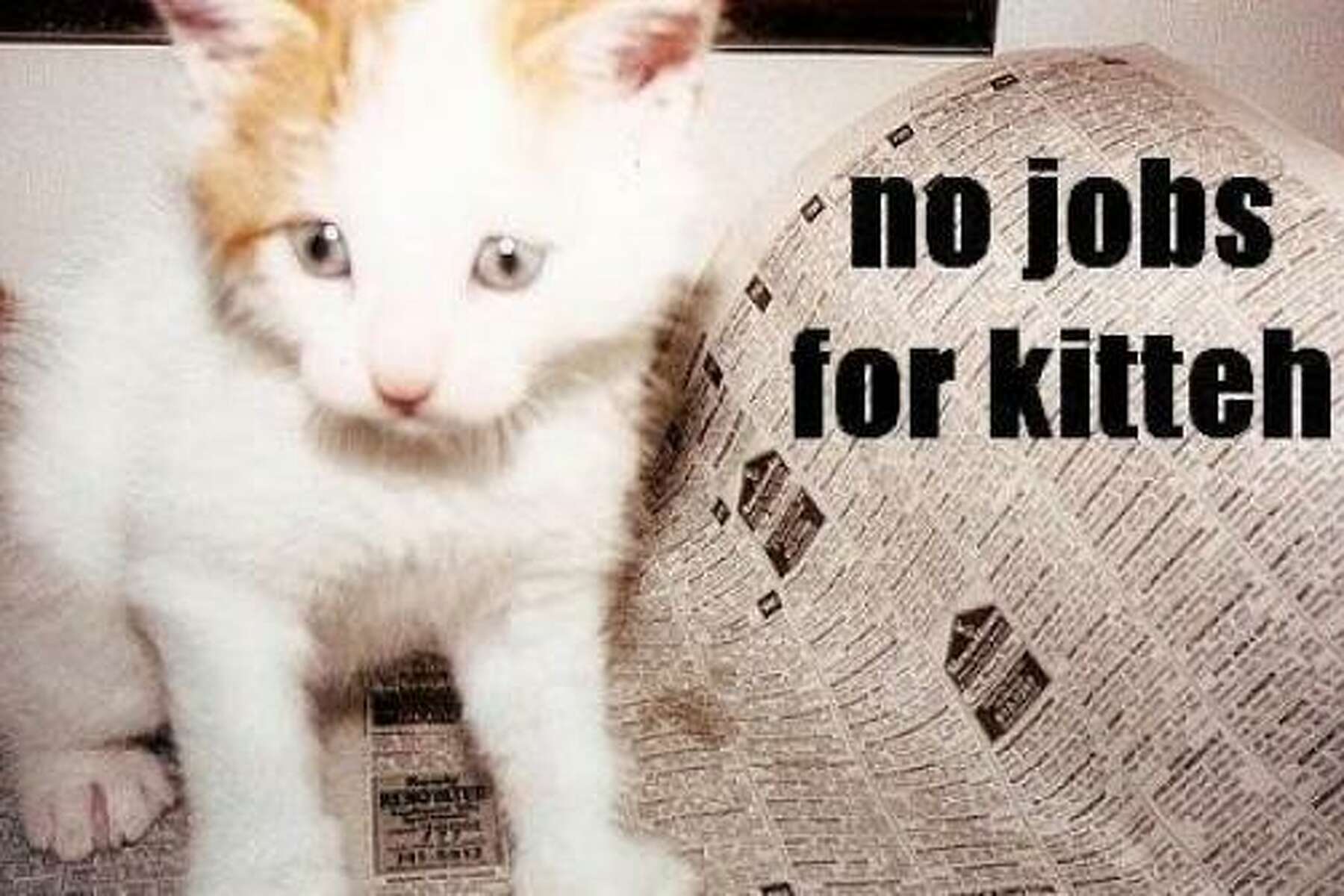 Good Morning Lolcat