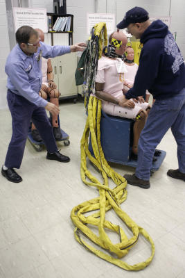 New crash test devices not your average dummies