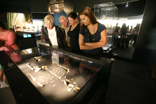 Lucy exhibit on track to becoming a top draw