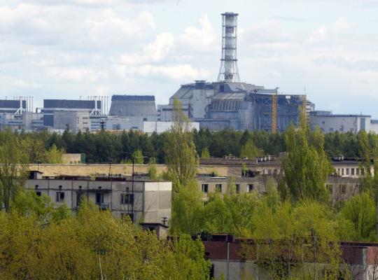 Chernobyl becomes wildlife haven, intriguing biologists