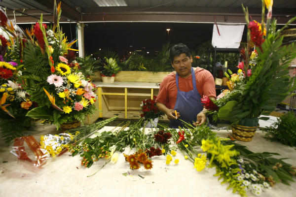 Fannin Street Flowers Houston Tx | Best Flower Site