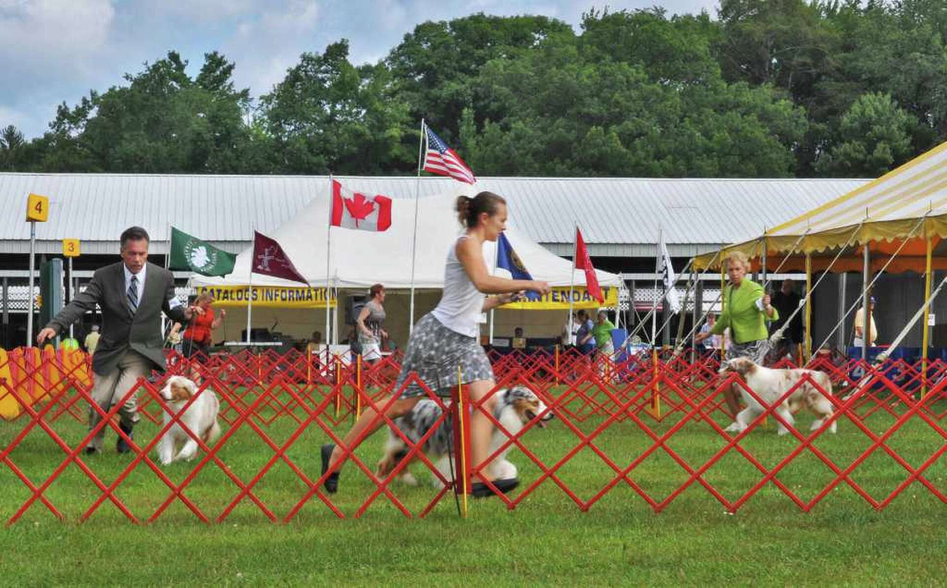 Photos: Adirondack dog show