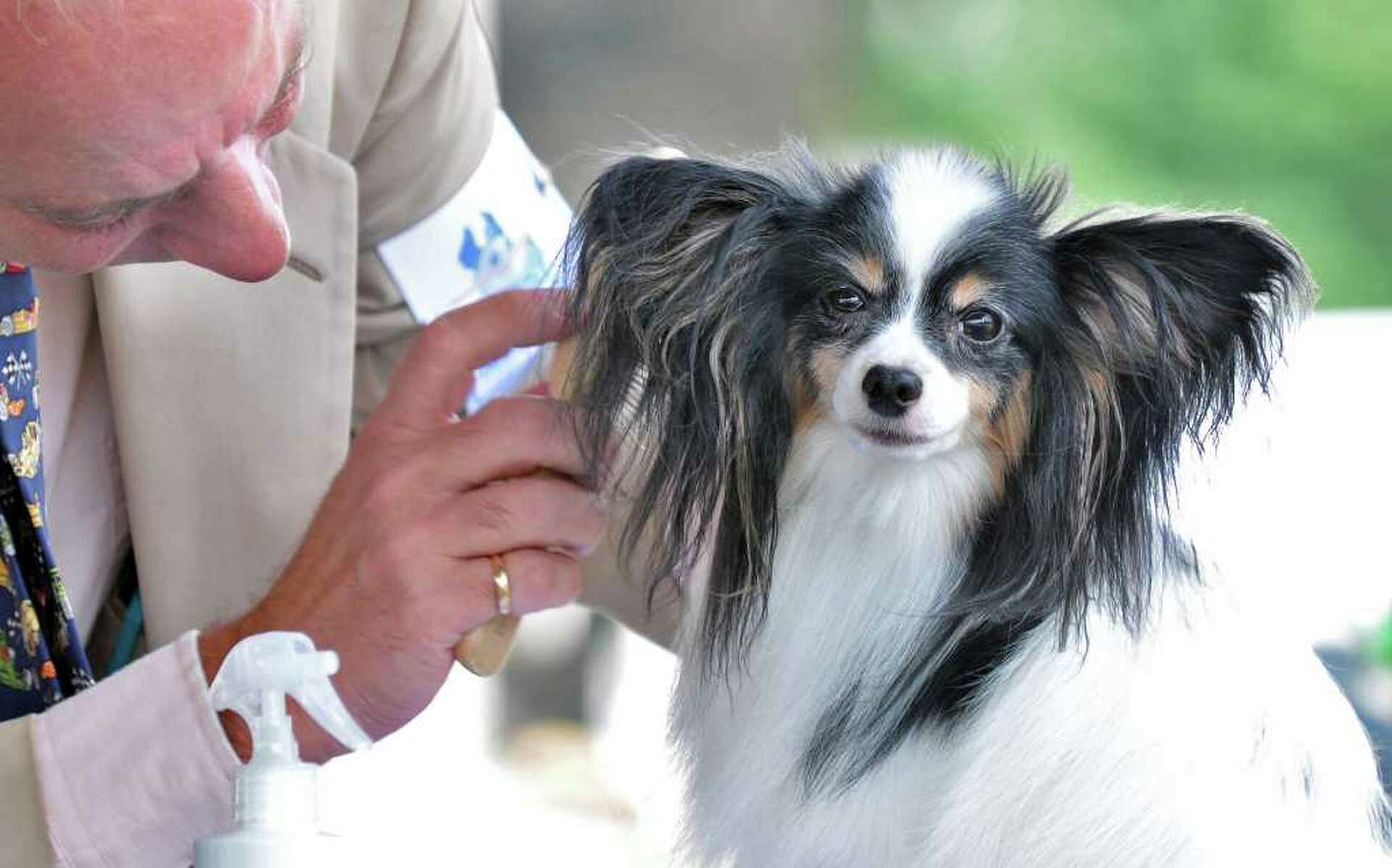 Photos: Adirondack dog show