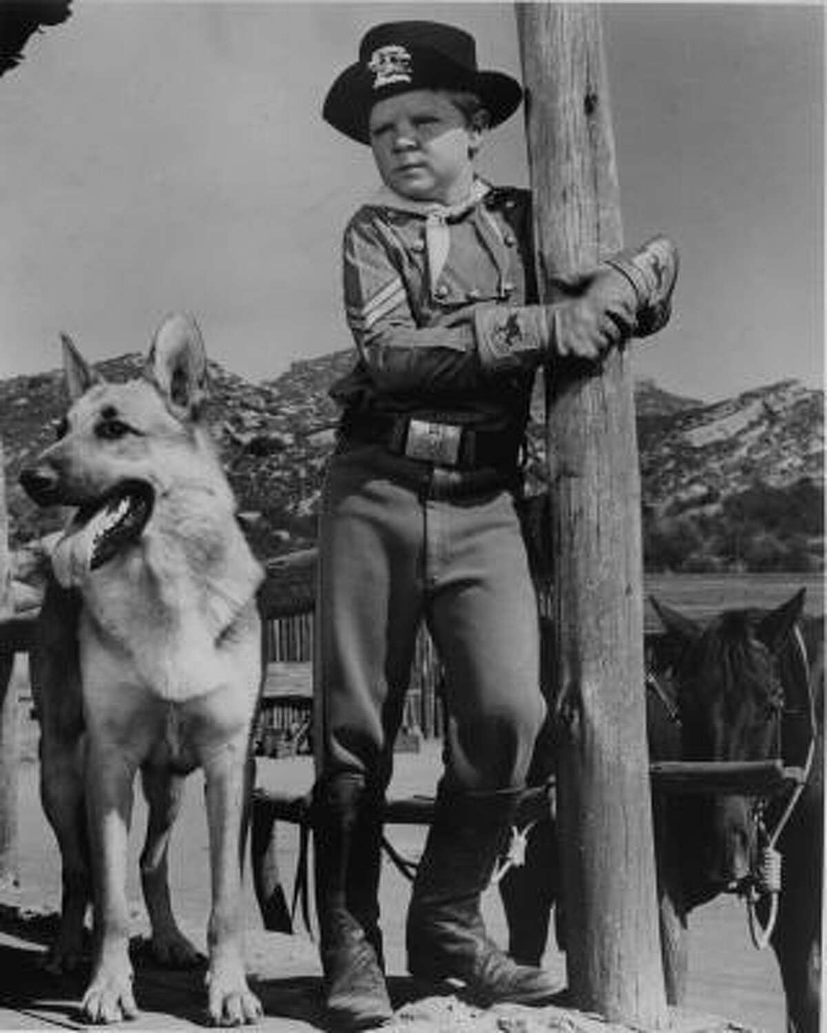 The legacy of Rin Tin Tin