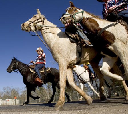 Trail riders back in the saddle and the city limits again