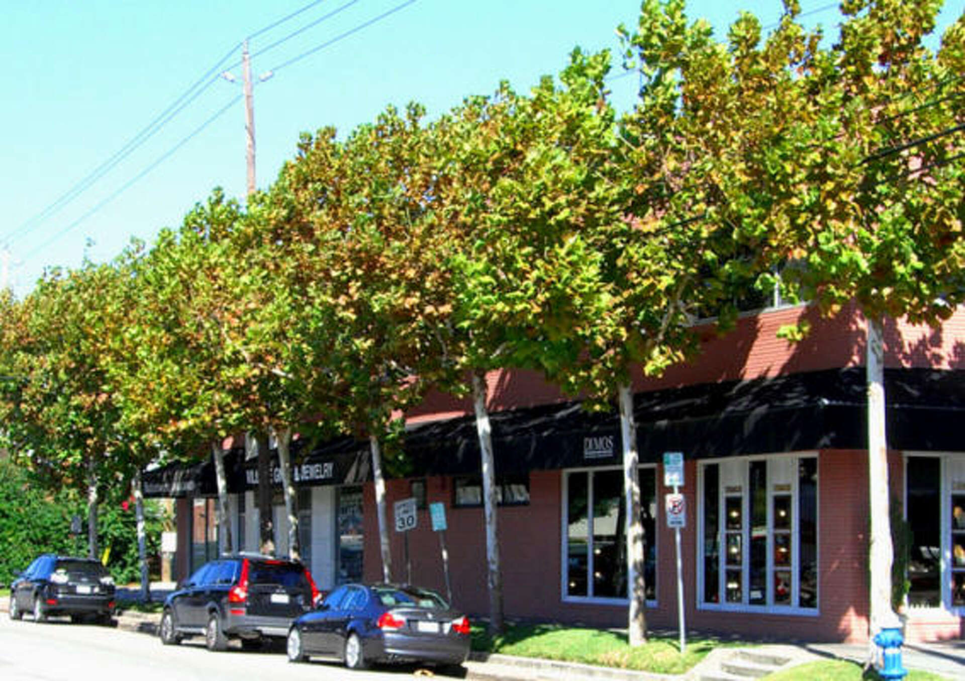 Small yard? Here are 3 ways to fit in fruit trees