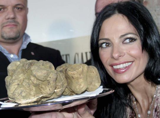 If you love white truffles get ready to dig deeper than ever