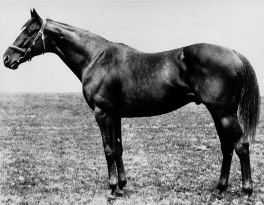 Triple Crown winners through the years