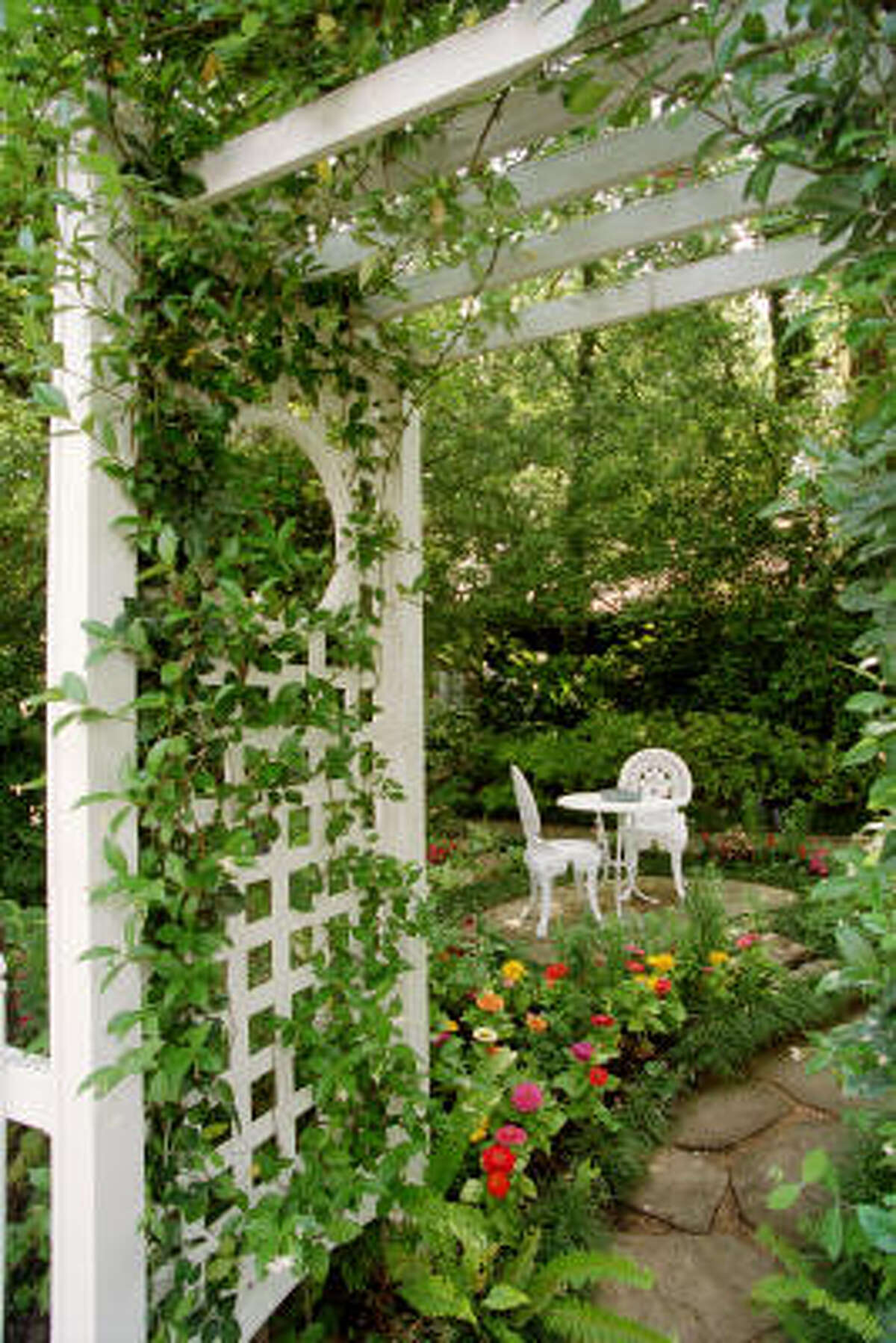 SHADE AND WOODLAND GARDENS