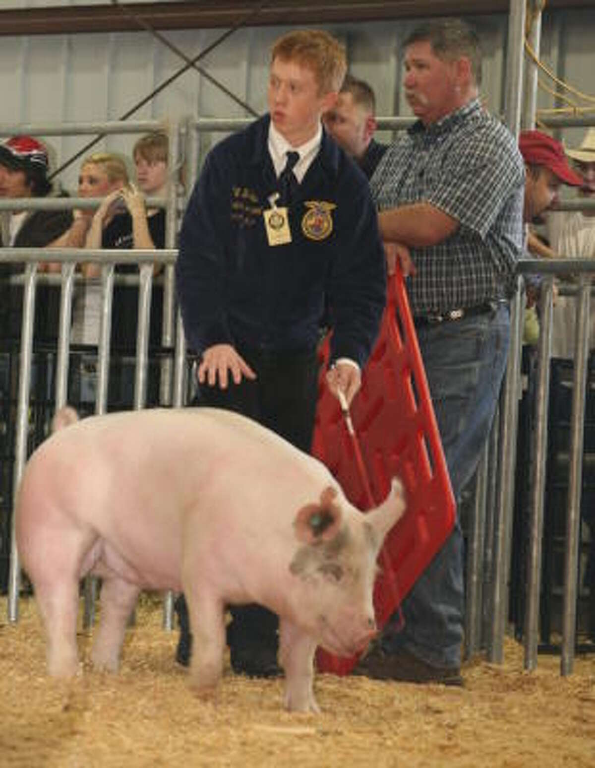 Katy ISD FFA Livestock Show and Rodeo
